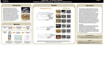 Undergraduate Research Center - UC Davis Academic Posters